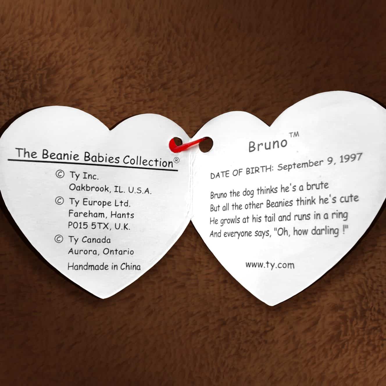 Bruno the Dog - Price Chart & Market Value